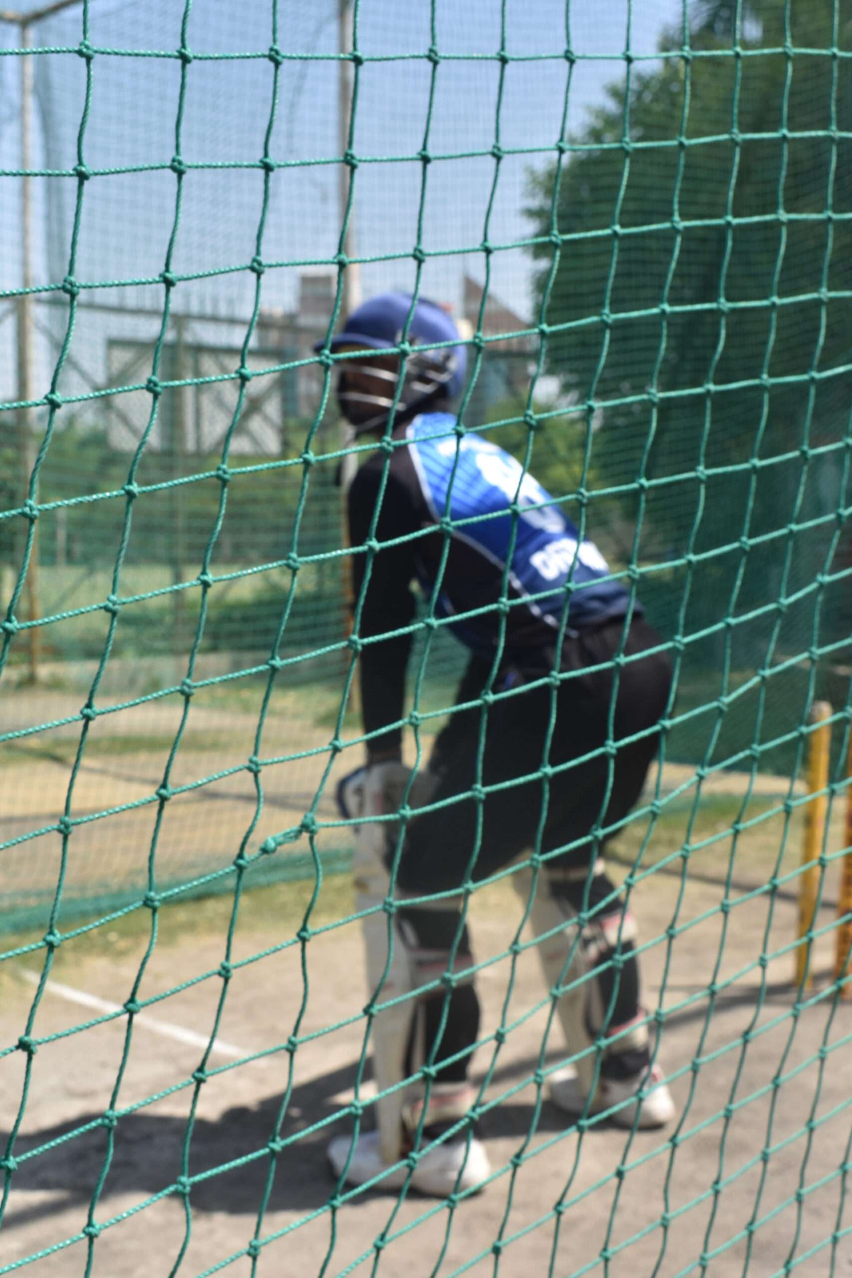 Ultimate Cricket Championship - UCC